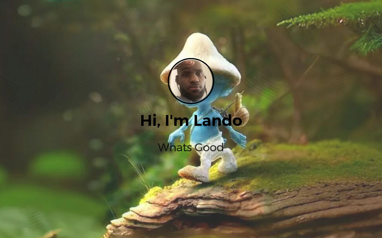 lando.com